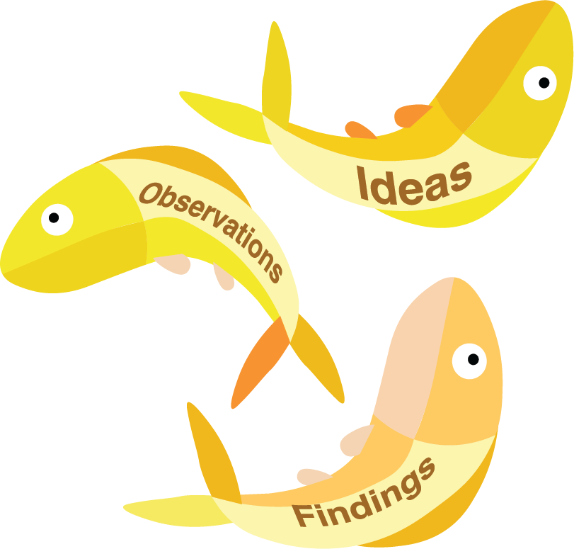 What are research insights? What makes them different from findings?